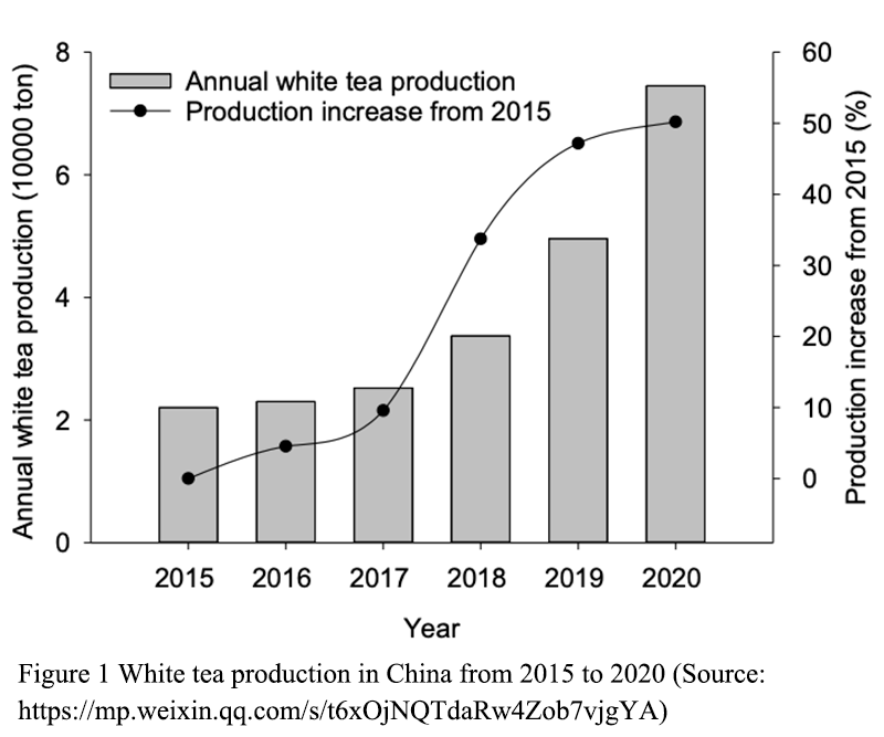 White Tea: A Review on Composition Characteristics, Extraction ...