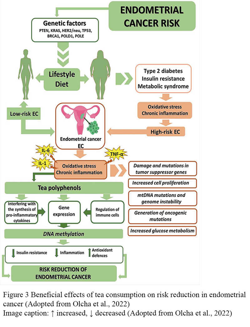 Antioxidant Powerhouse: Tea Polyphenols in Chronic Disease Prevention ...