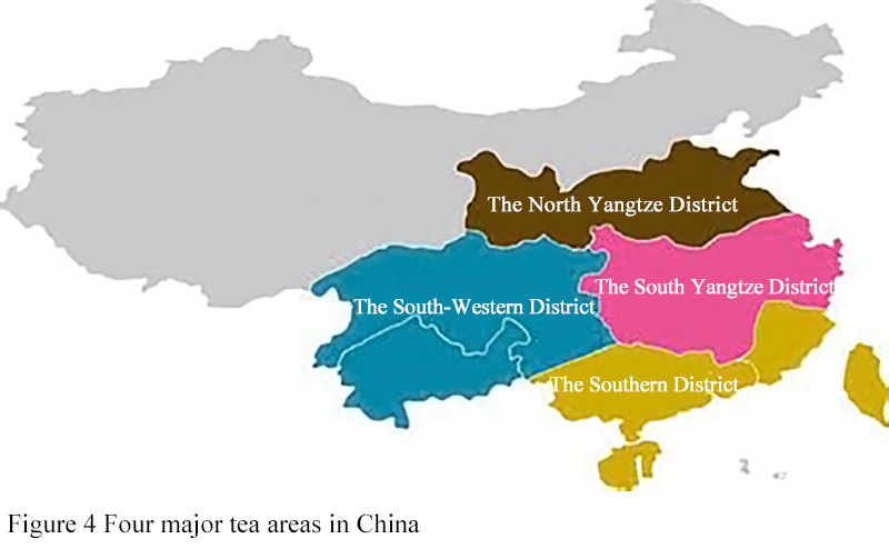 The Origin and Distribution of Tea Trees and Tea in China | Liu ...
